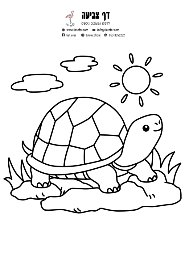 דפי צביעה - Liat Ofer