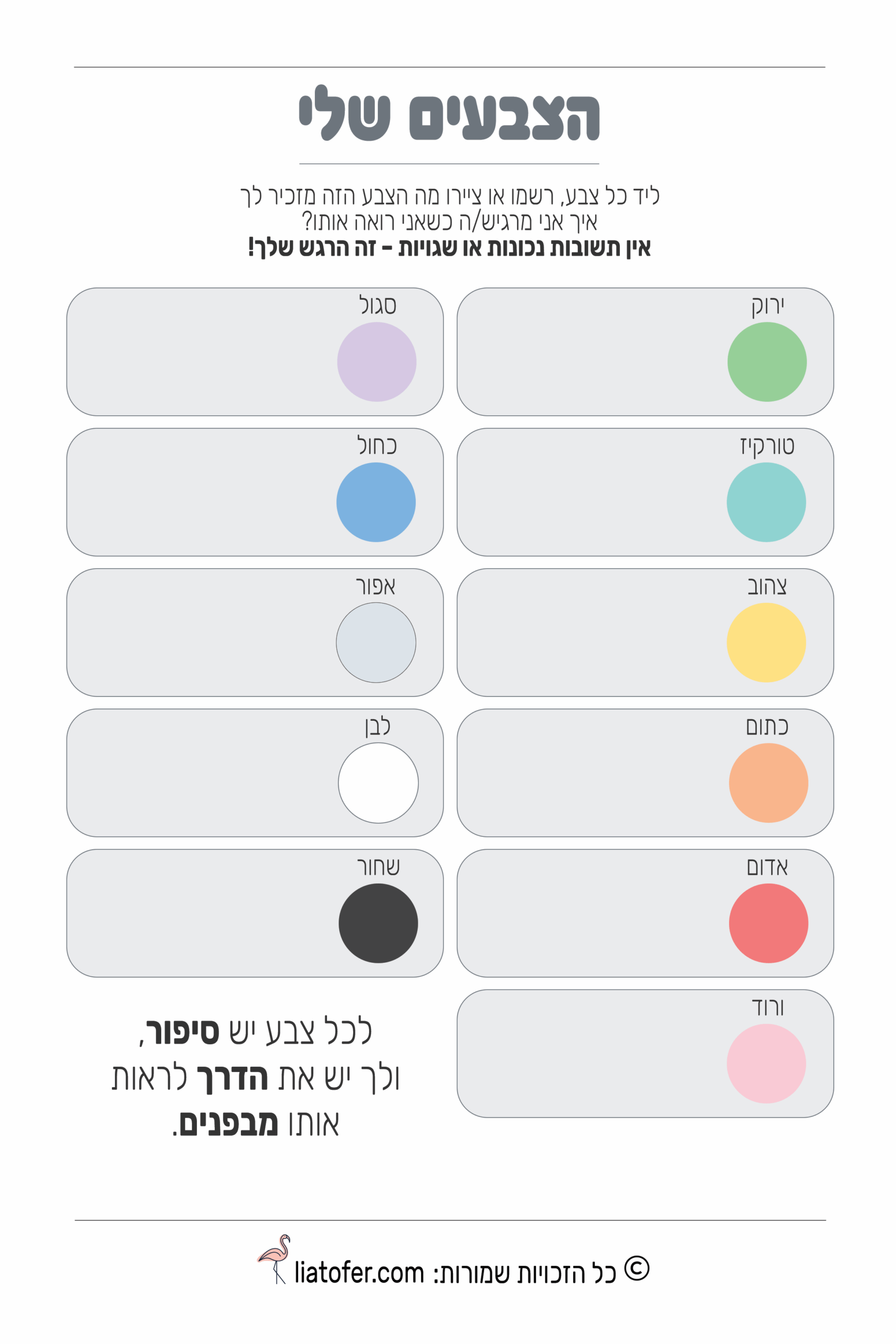 הצבעים שלי - Liat Ofer